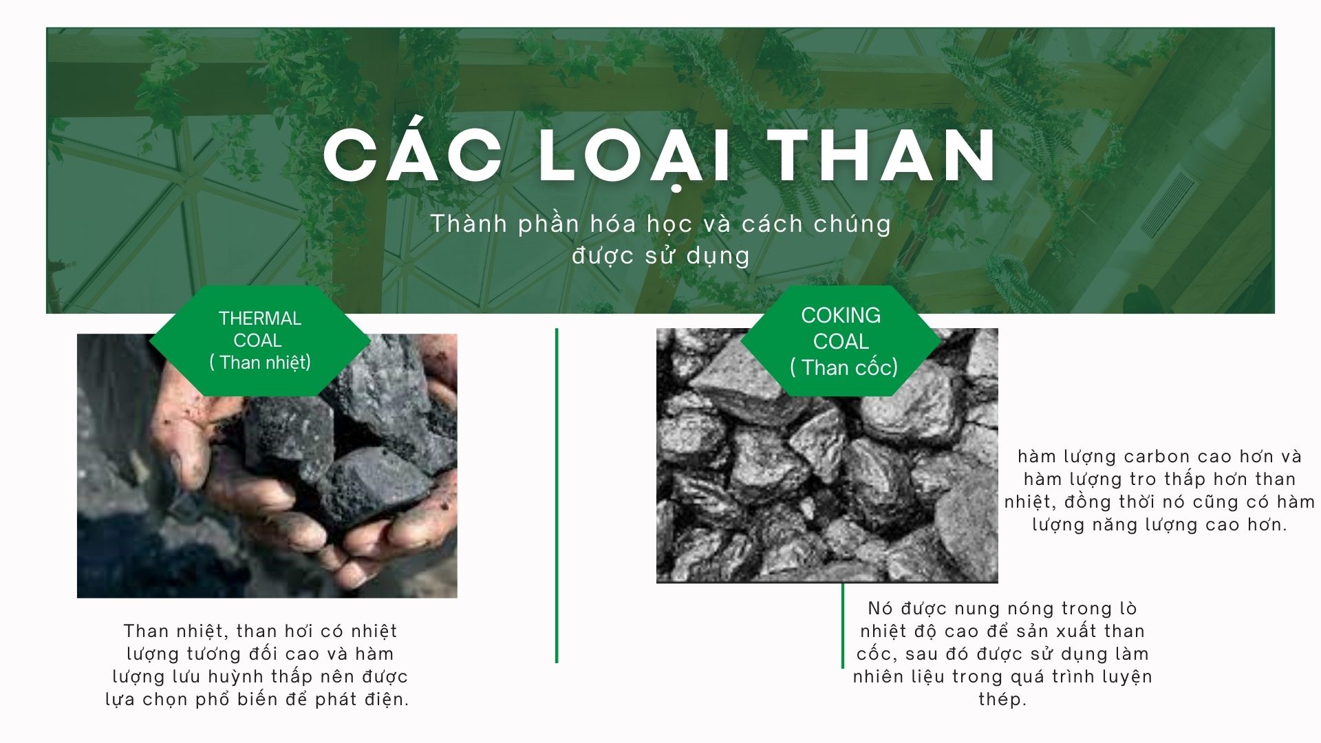 Coal Profile - AJT Coal